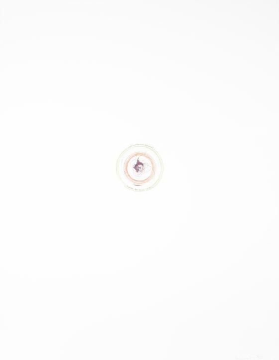 Damien Hirst Ring A Ring A Roses (Signed Print) 2002 | For Sale