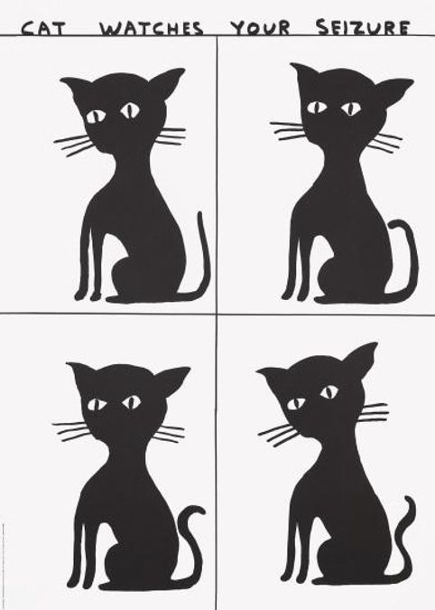 David Shrigley Cat Watches Your Seizure (Unsigned Print) 2020 | For Sale