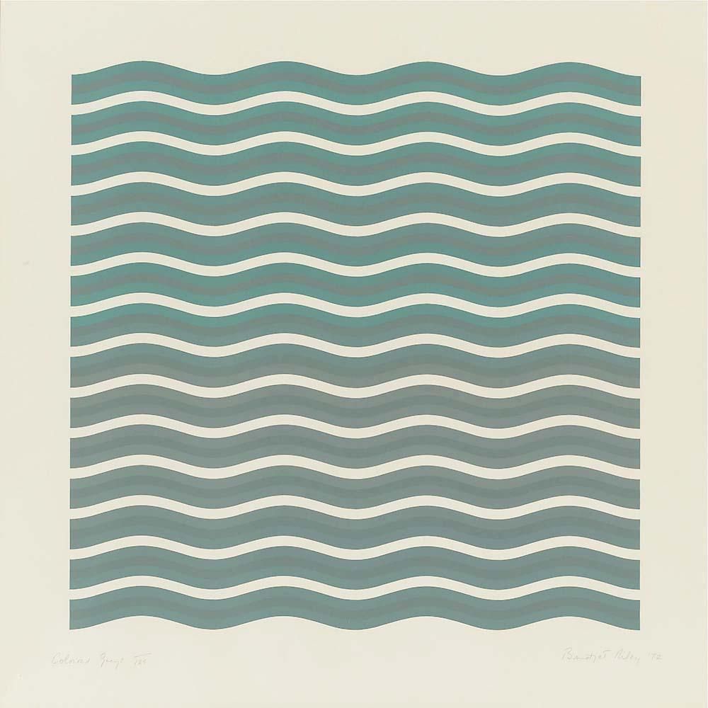 Bridget Riley Coloured Greys 2 (Signed Print) 1972 | For Sale