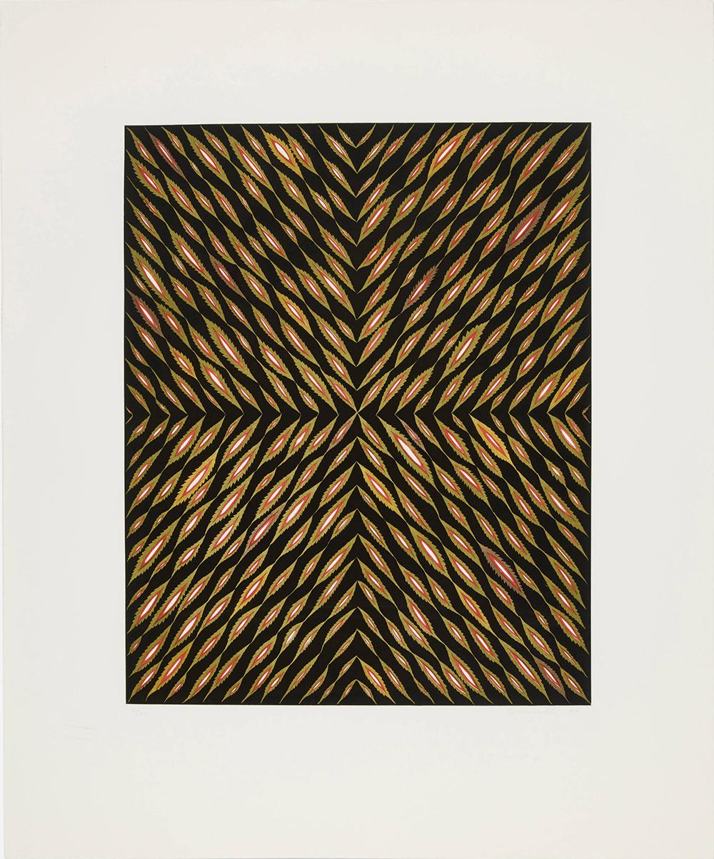 Fred Tomaselli 50 Vs For The Center Of Your Face (Signed Print) 1998 ...