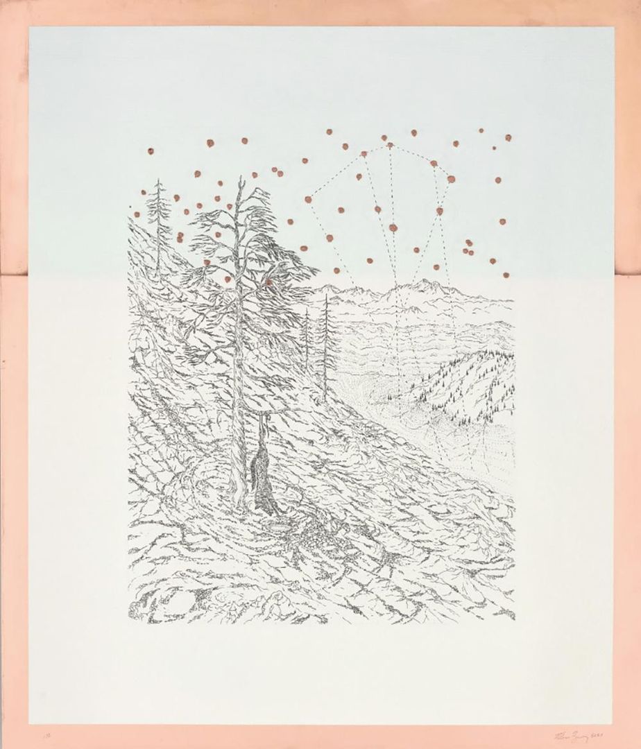 Matthew Barney Lupus (Signed Print) 2019