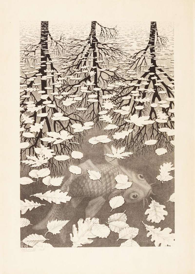 Maurits Cornelis Escher Art for Sale: Prints & Originals | MyArtBroker