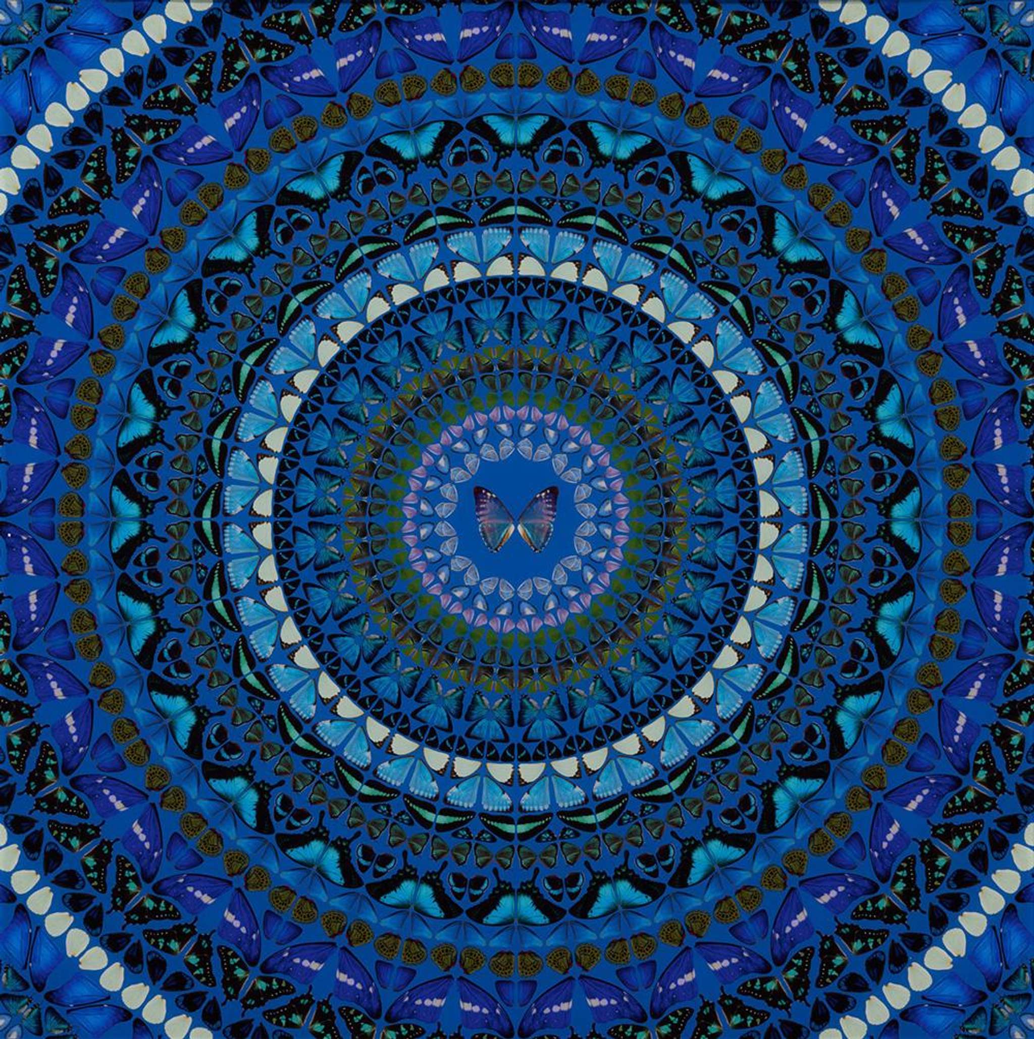 Art and Science in Damien Hirst's Artwork | MyArtBroker | Article