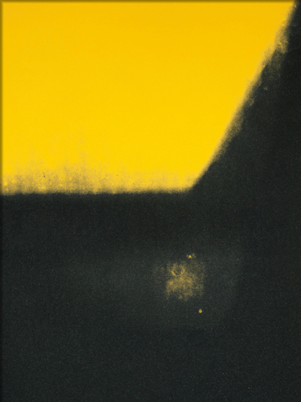 10 Facts About Andy Warhol's Shadows | Article | MyArtBroker