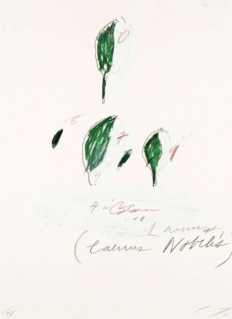 Cy Twombly Art for Sale: Prints & Originals | MyArtBroker