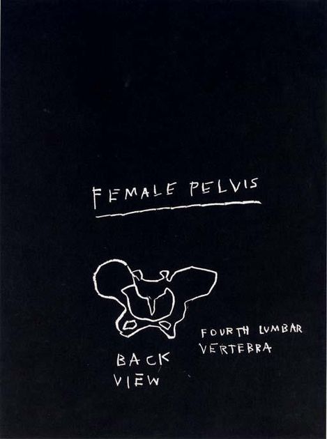 Jean-Michel Basquiat Anatomy, Female Pelvis (Signed Print) 1982 ...