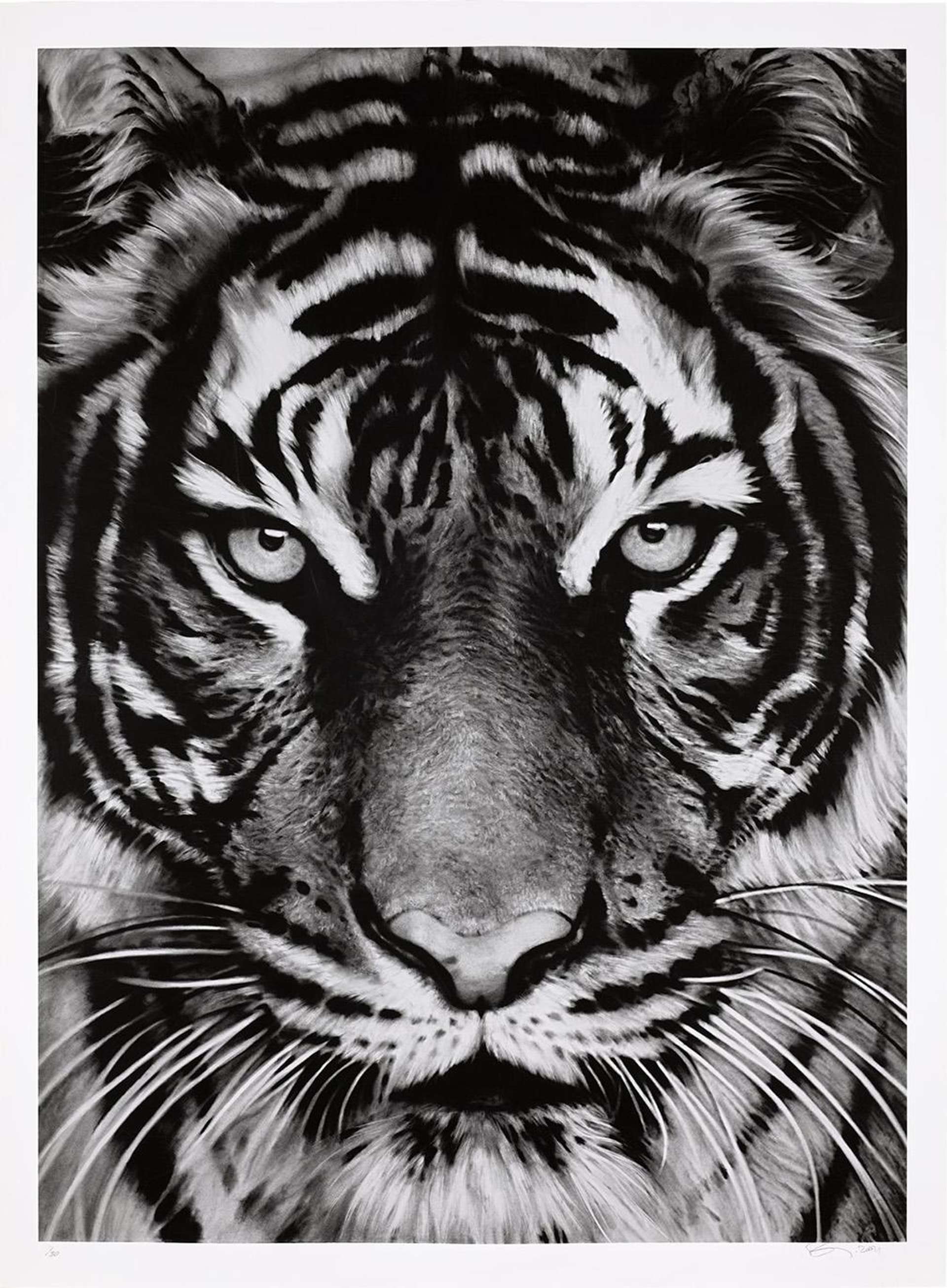 Robert Longo Tiger (Signed Print) 2011 | MyArtBroker
