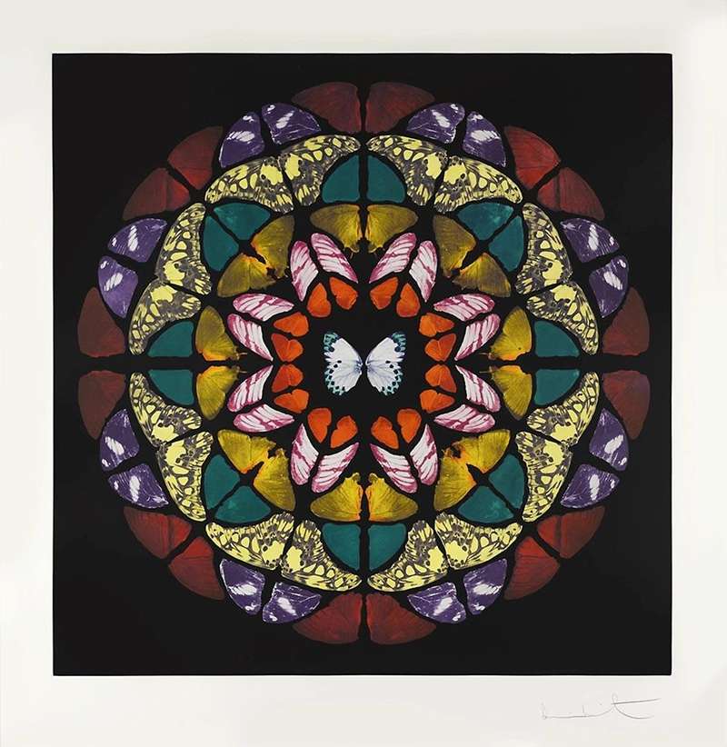 Damien Hirst: Biography & Artwork | MyArtBroker