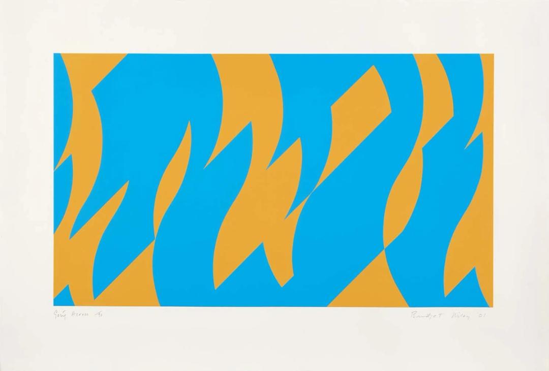 Bridget Riley Going Across (Signed Print) 2001 | For Sale