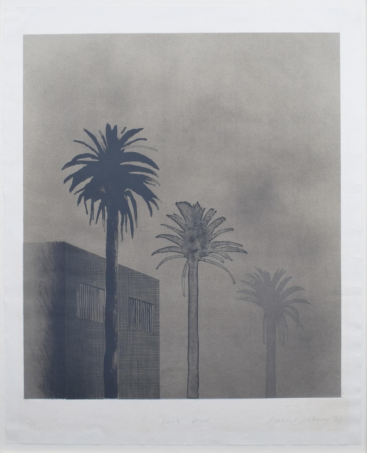 David Hockney Dark Mist (Signed Print) 1973 | MyArtBroker