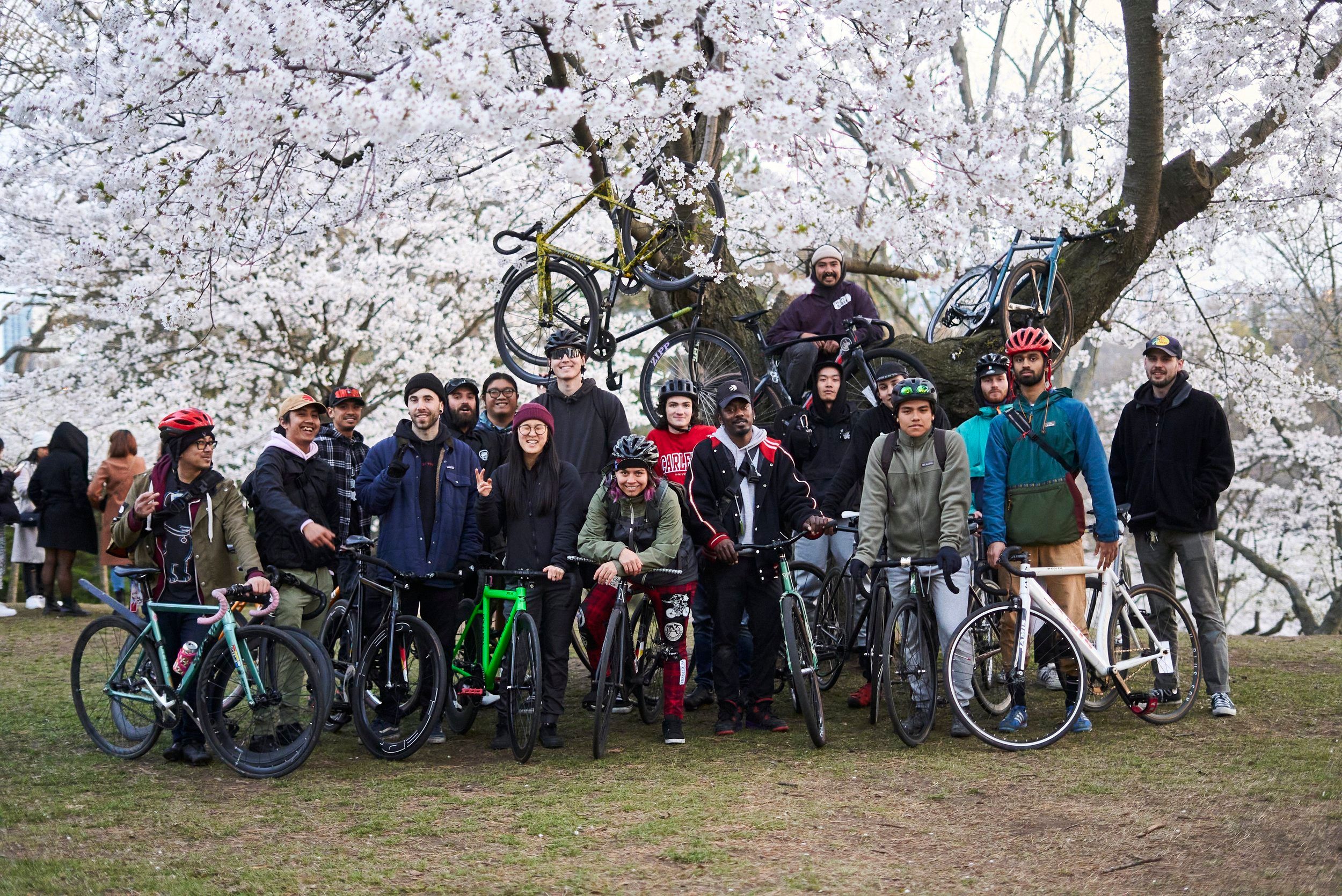 Sunday Cyclery - About