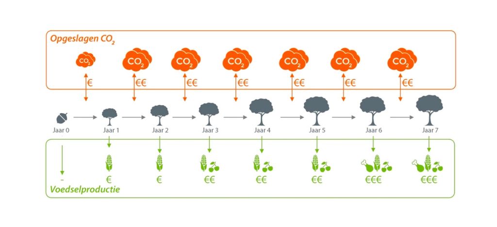 Project Acorn contributes to new revenue models for farmers - Rabobank