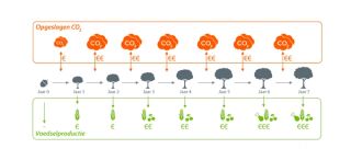 Project Acorn contributes to new revenue models for farmers - Rabobank