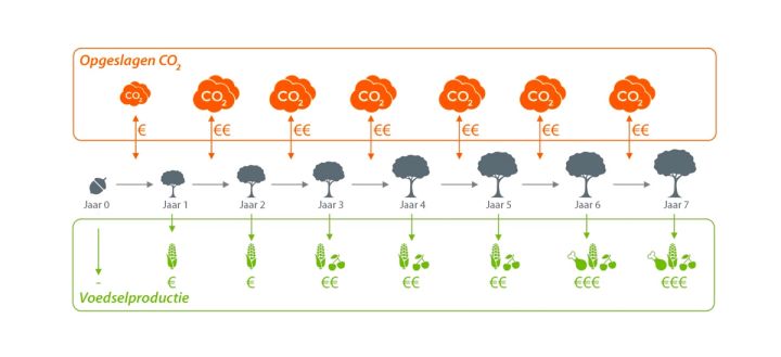 Project Acorn contributes to new revenue models for farmers - Rabobank