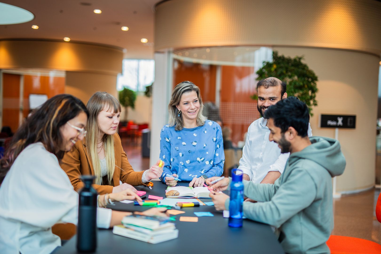 Traineeship & Early Career Program - Rabobank