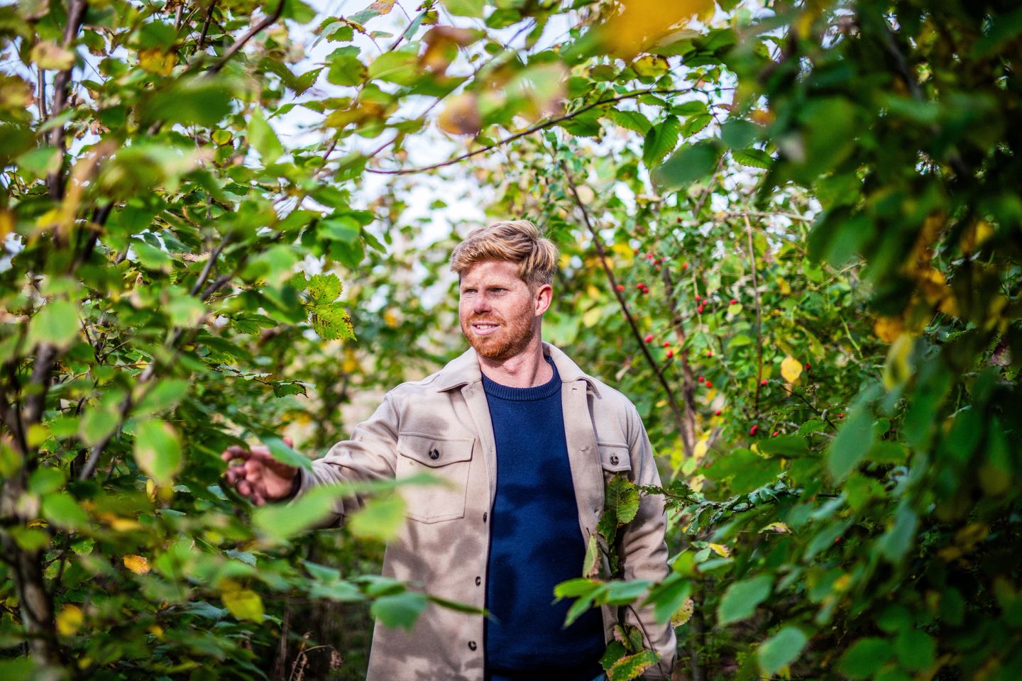 Project Acorn helps with carbon reduction - Working at Rabobank - Rabobank