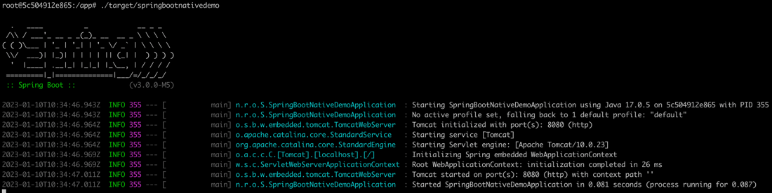 Spring Boot: GraalVM Native Images - Rabobank Spring Boot: GraalVM Native Images - Rabobank
