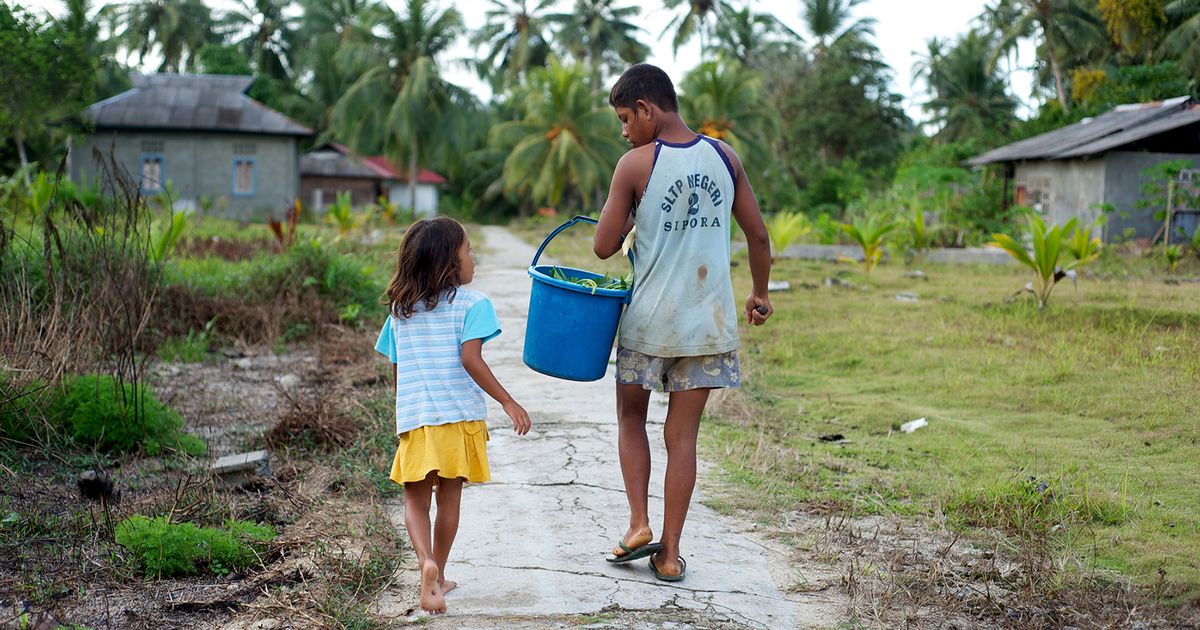 Behind the Palms: The Birth of SurfAid | Surf Simply