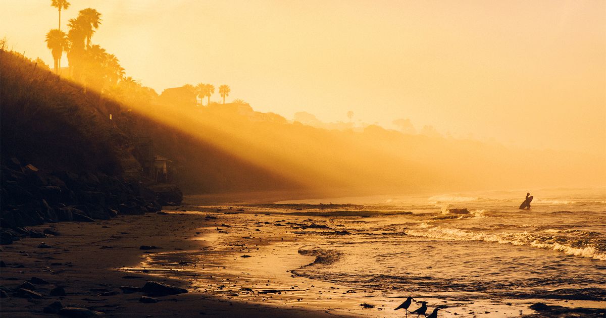A Sideways Look At The Golden State | Surf Simply