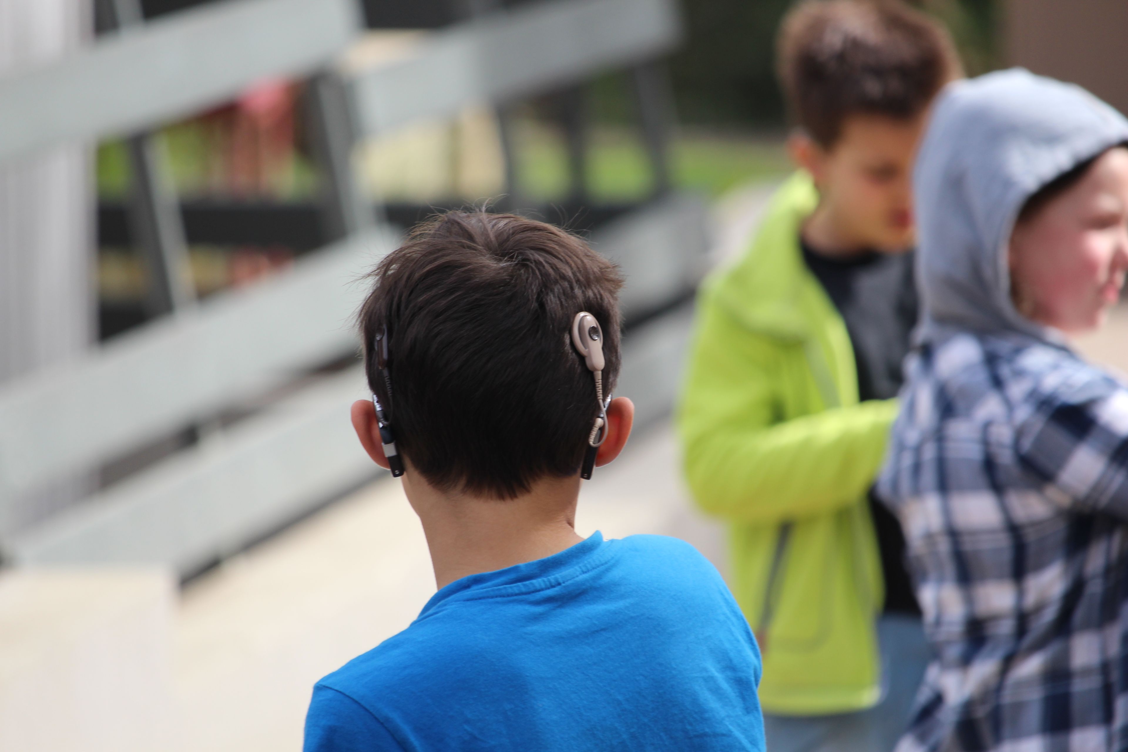 Prevalence of Additional Disabilities with Deafness: a review of the ...