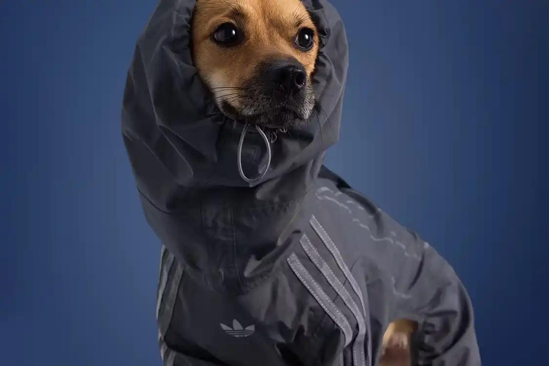 ADIDAS LAUNCHES FALL PET COLLECTION IN CHINA