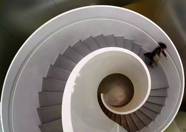 Apple Store, Nanjing - Steel Spiral Staircase | Goldwave