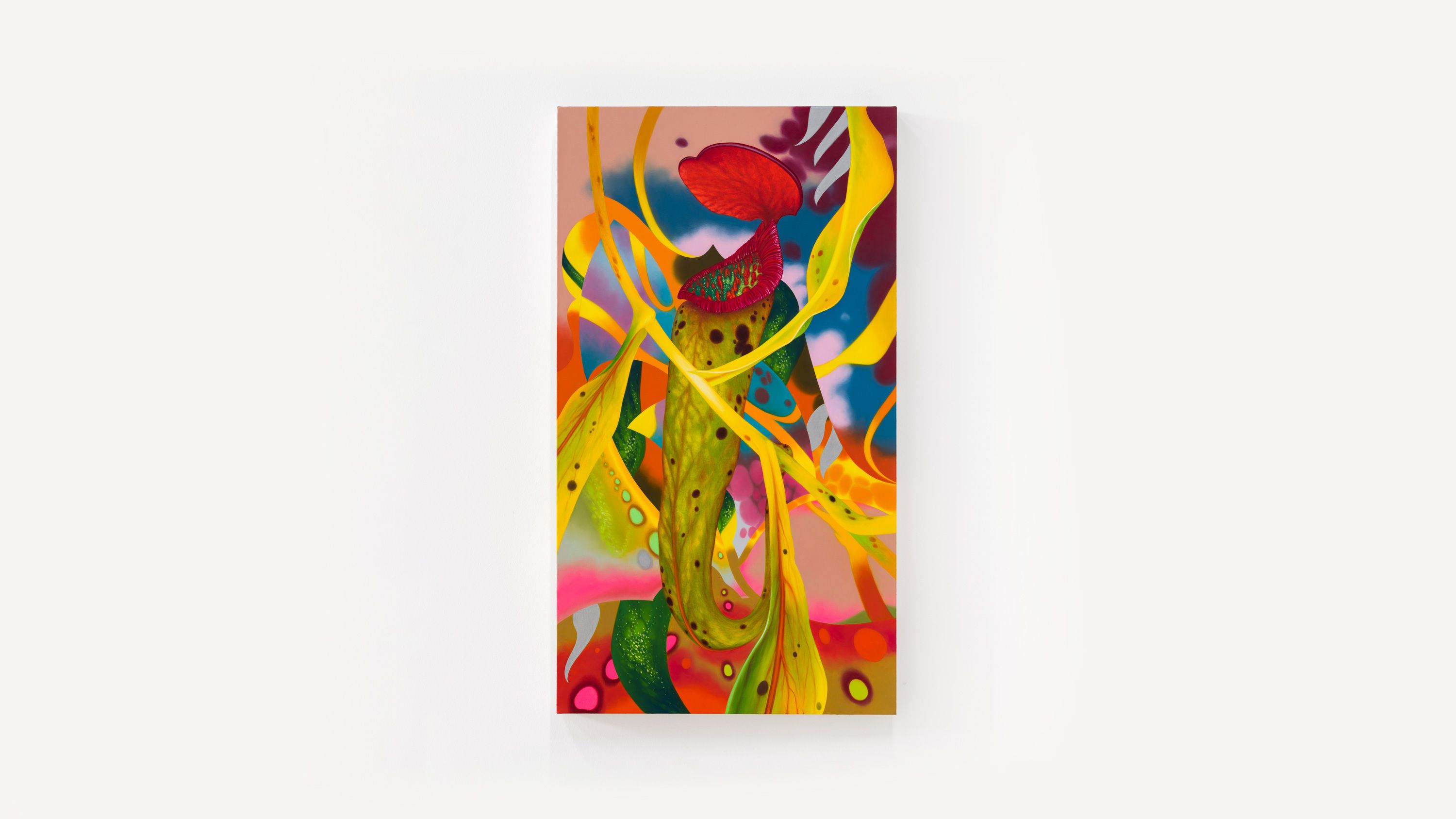 Tom Allen → The Approach