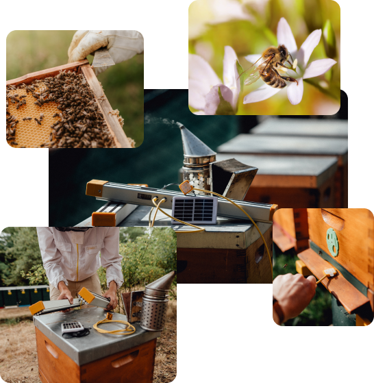 3Bee | Alveare Aziendale