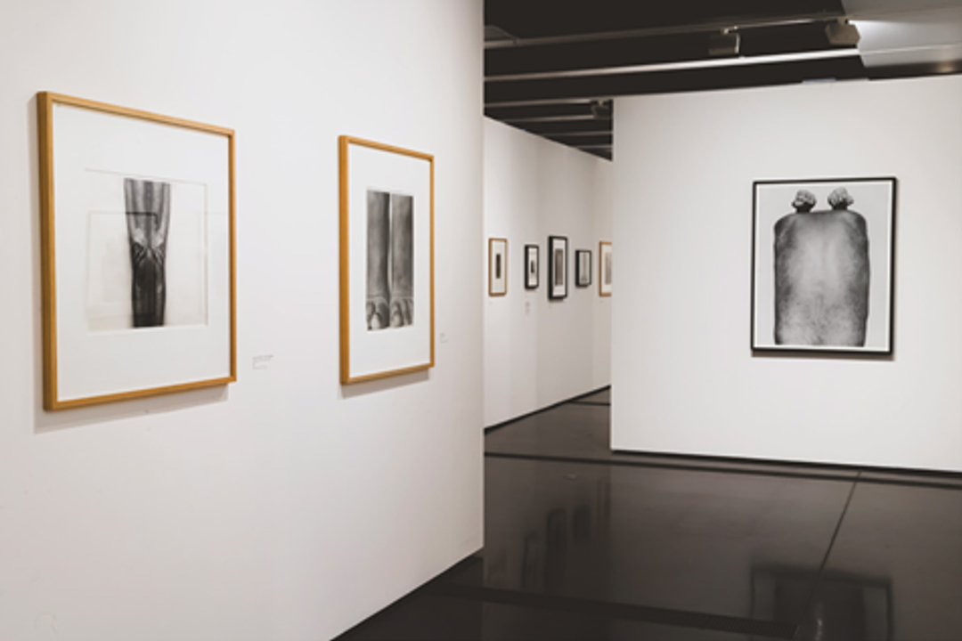 La vie des formes, version John Coplans