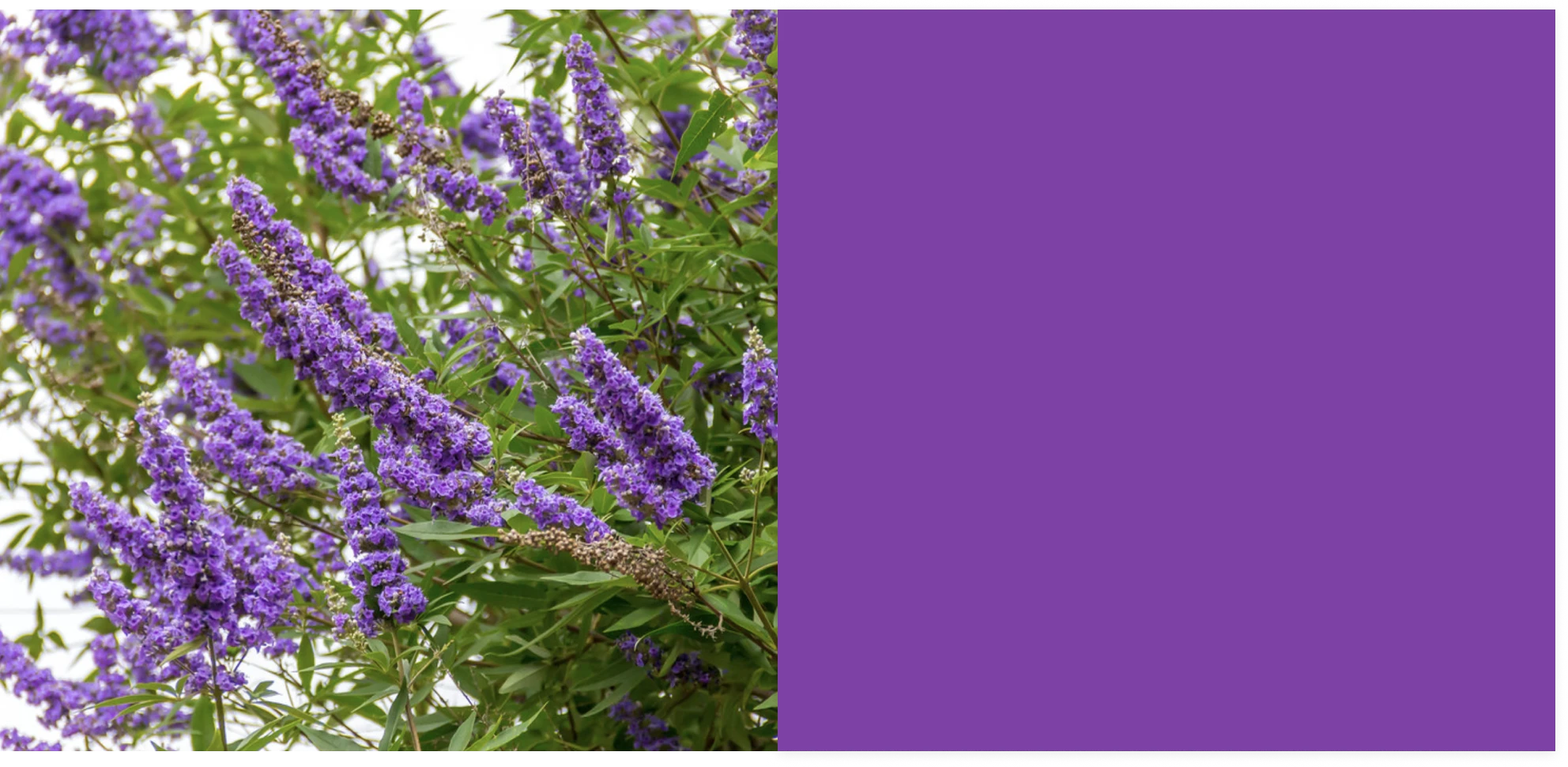 How Color Conveys Trust | Voura