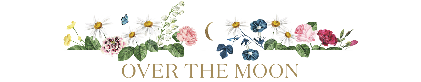 Retail | Store Locator | Coterie