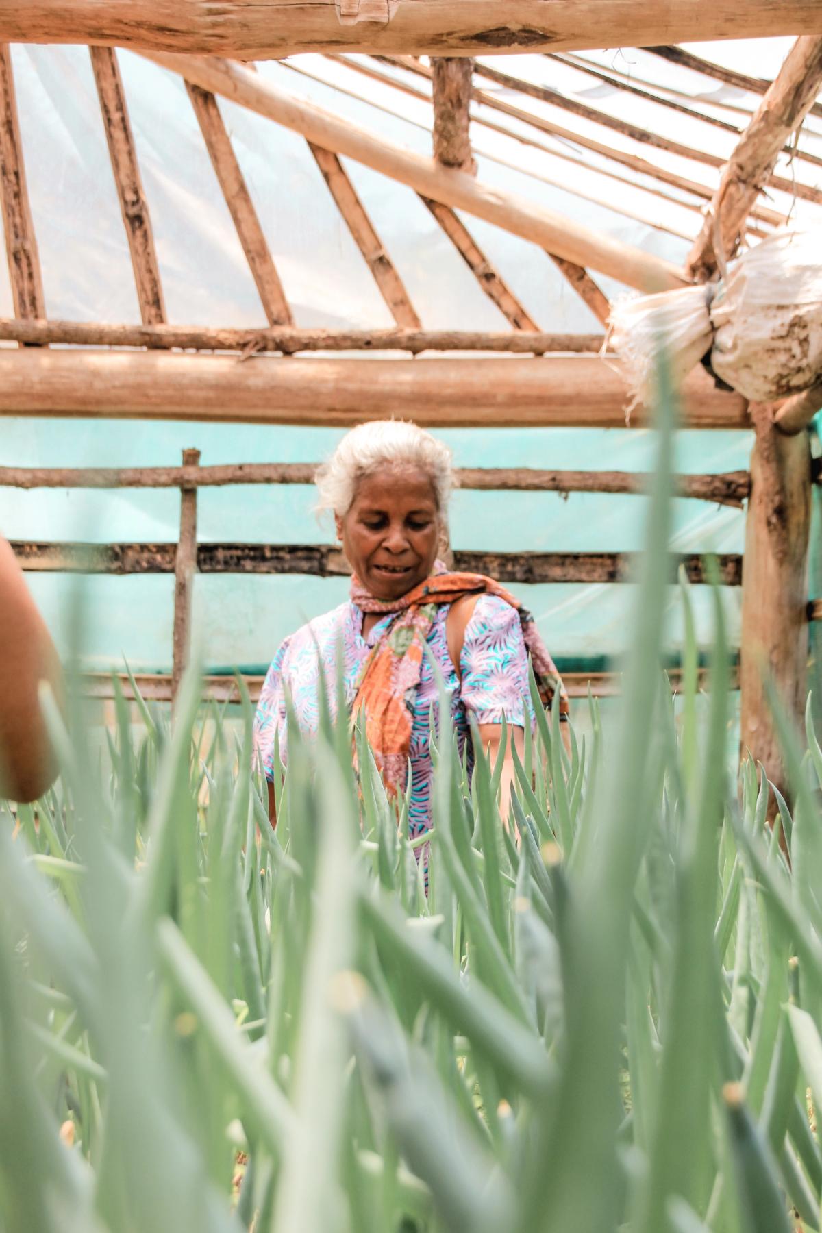Our Work in Timor-Leste | Volunteer Service Abroad/Te Tūao Tāwāhi
