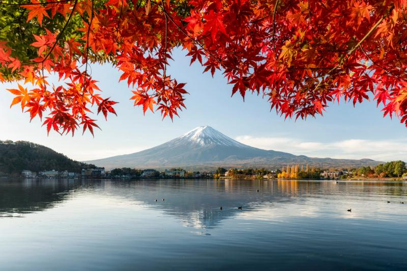 Mount Fuji Fall wallpaper mural 100% PVC-free and non-toxic