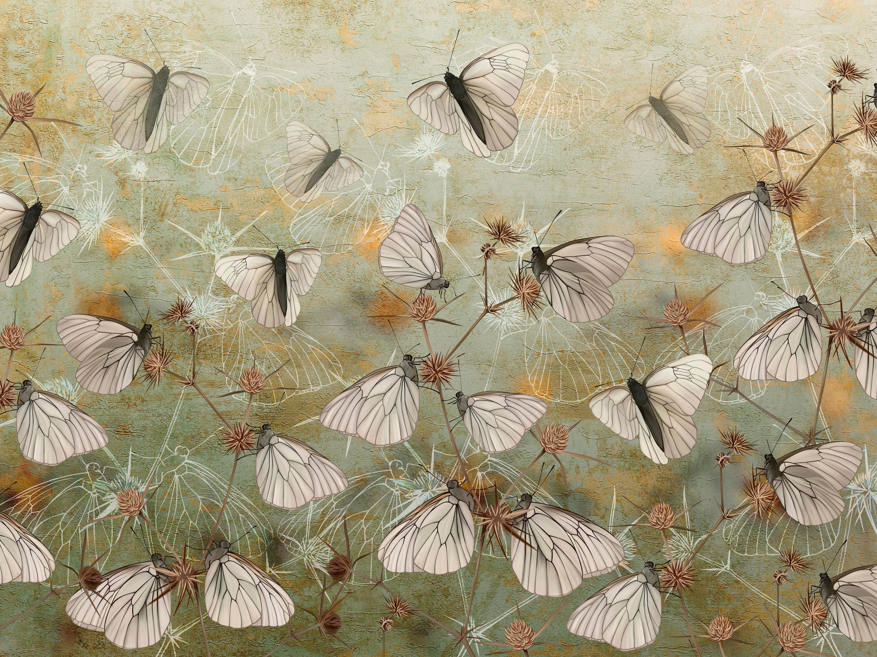 Insect wallpapers - 500+ designs | Wallism