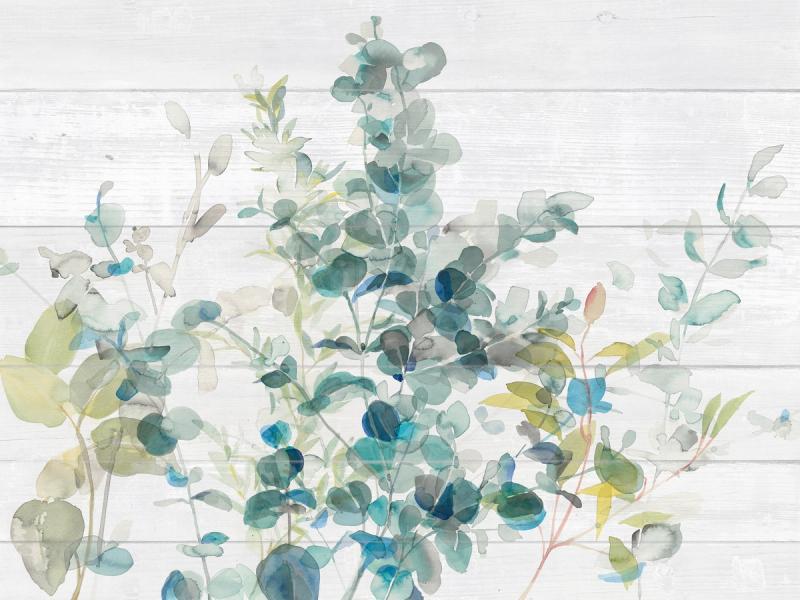 Eucalyptus I on Shiplap wallpaper mural 100% PVC-free and non-toxic