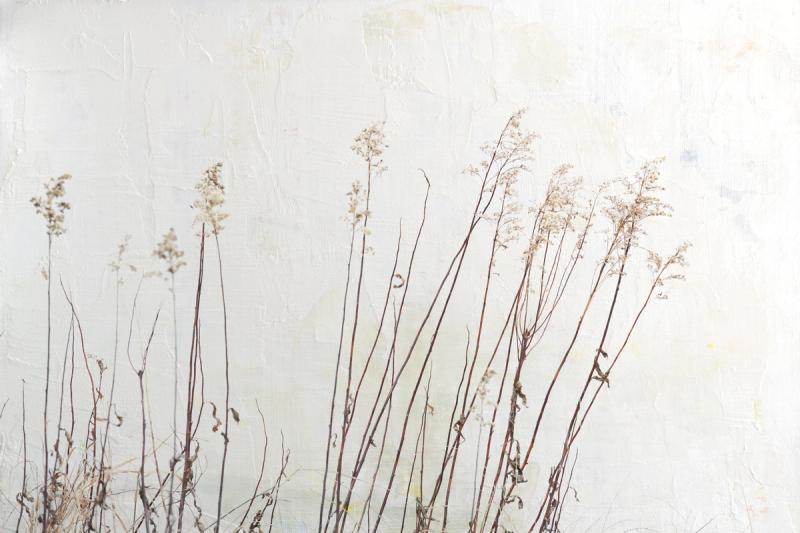 Still Wild III wallpaper mural 100% PVC-free and non-toxic