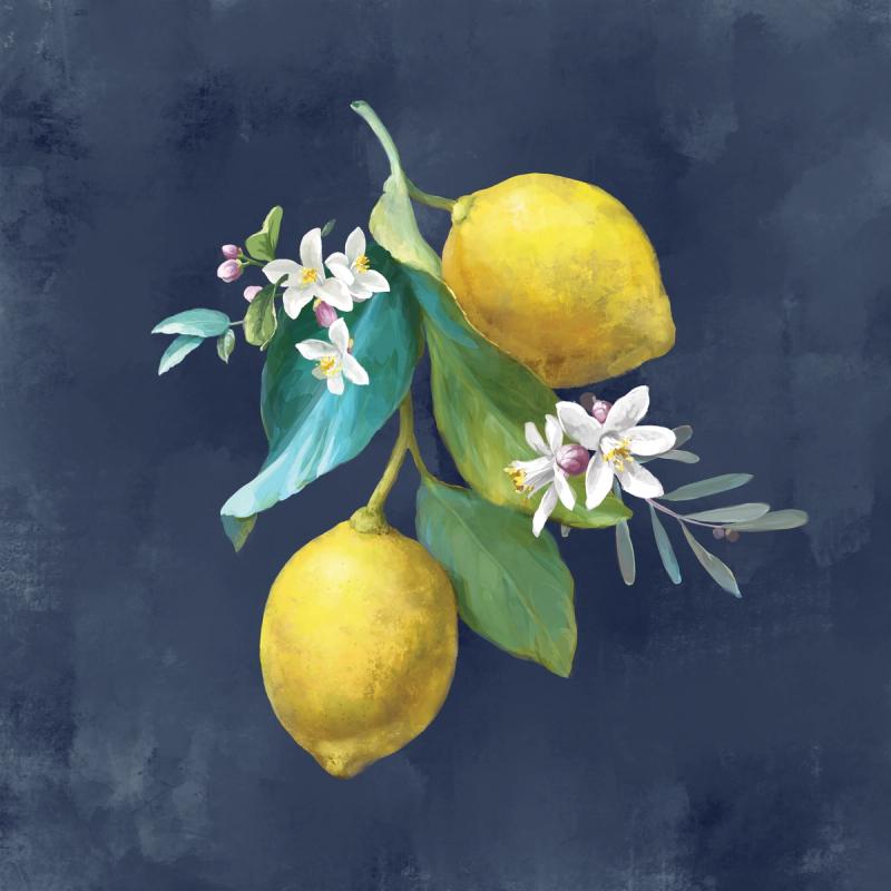 Lemon Branches II wallpaper mural 100% PVC-free and non-toxic