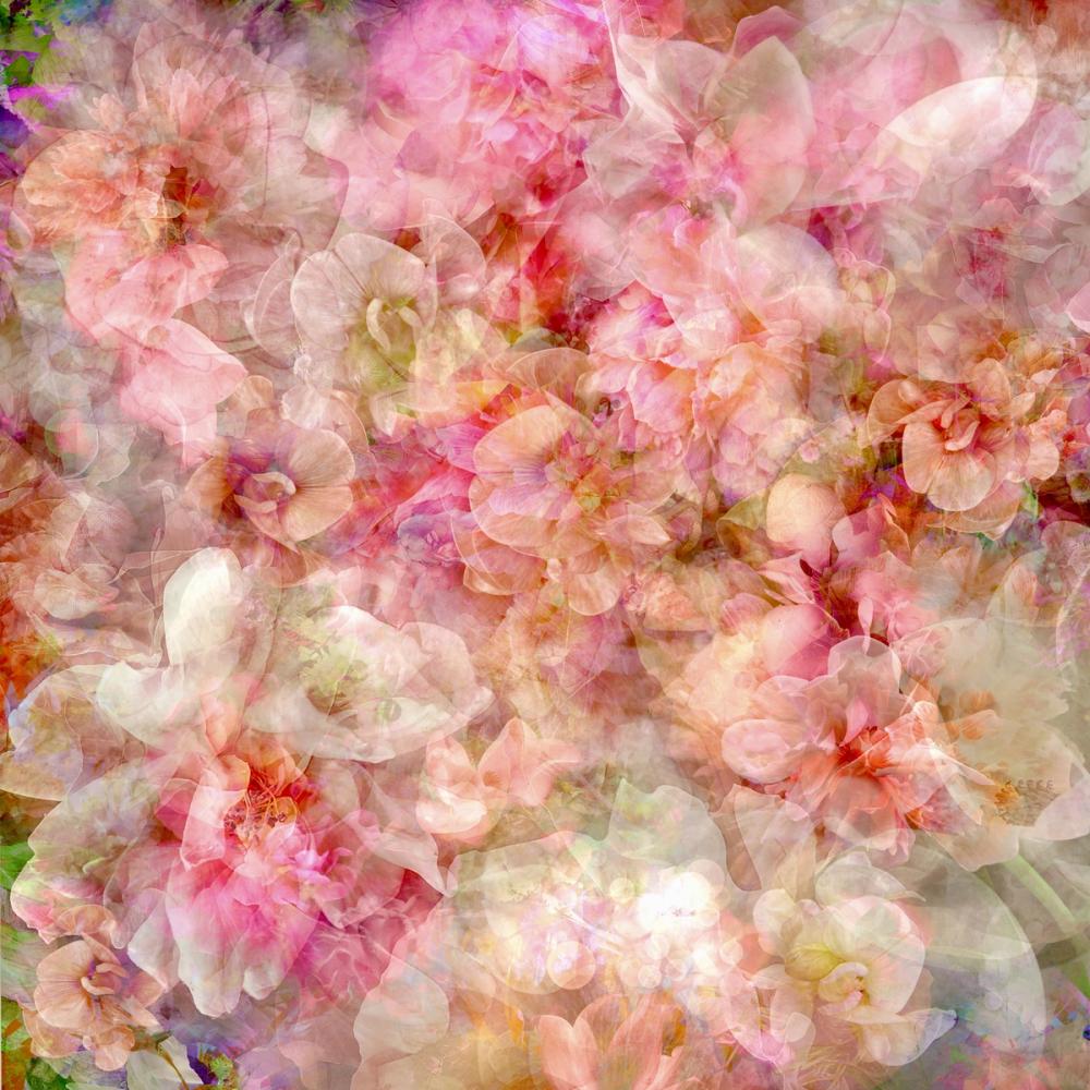 The Origins of Dawn wallpaper mural 100% PVC-free and non-toxic