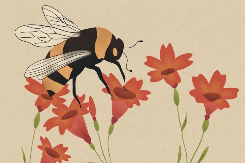 Bee Kind II wallpaper mural 100% PVC-free and non-toxic