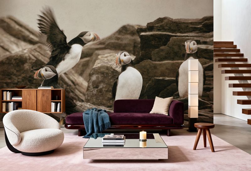 Atlantic Puffin Colony wallpaper mural 100% PVC-free and non-toxic