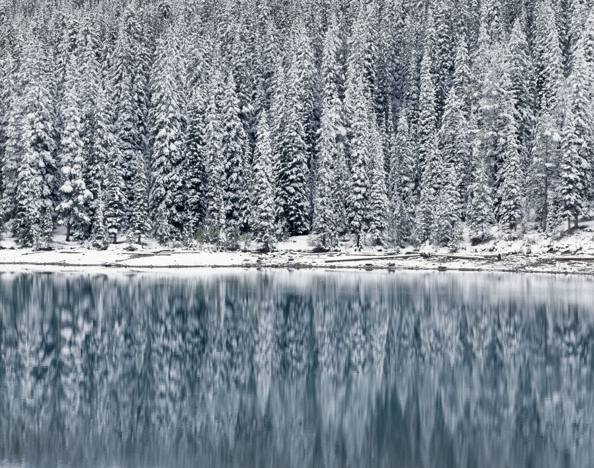 Snow Wallpapers for Your Wall ️ Choose from 300+ Designs