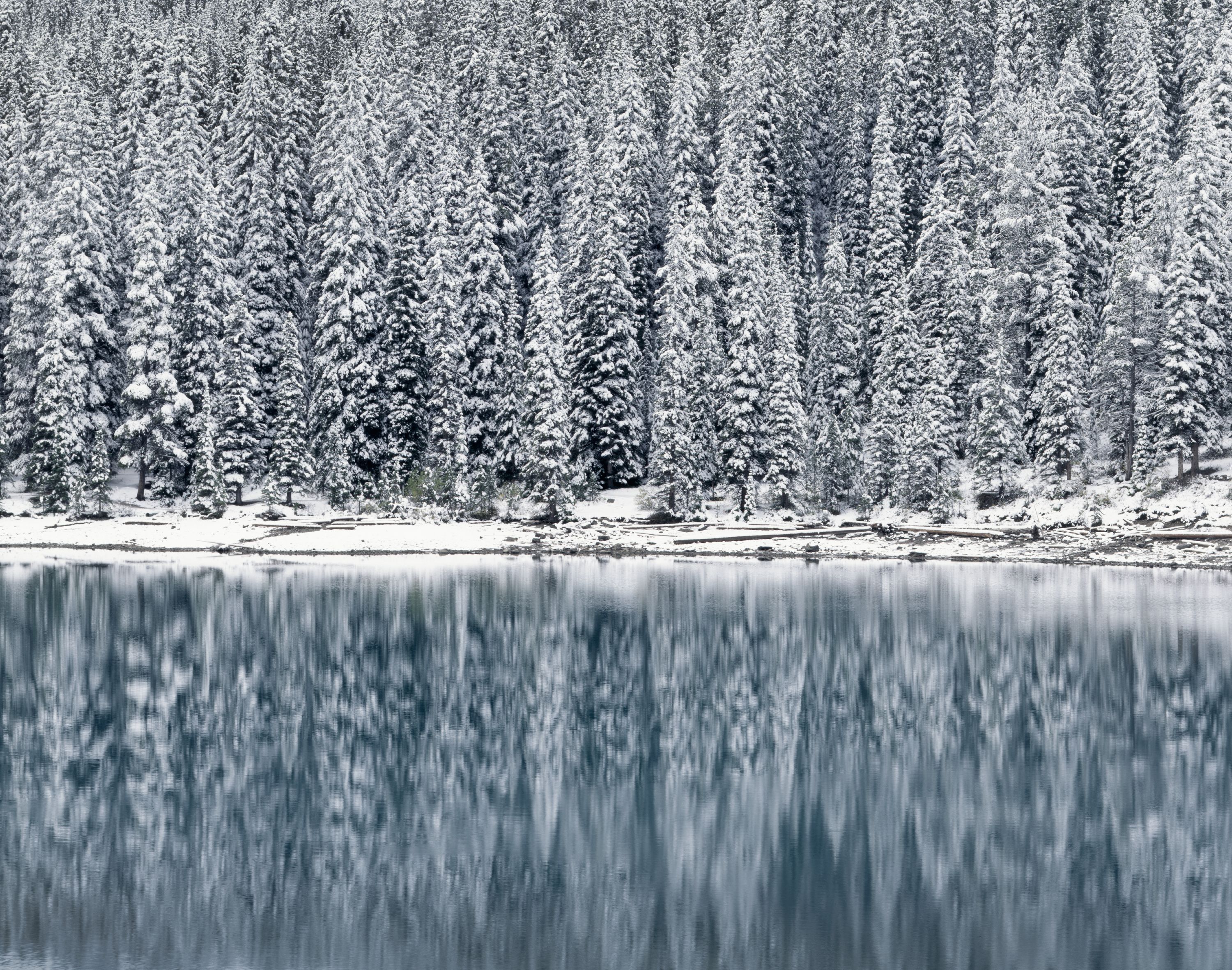 Snow Wallpapers for Your Wall ️ Choose from 200+ Designs