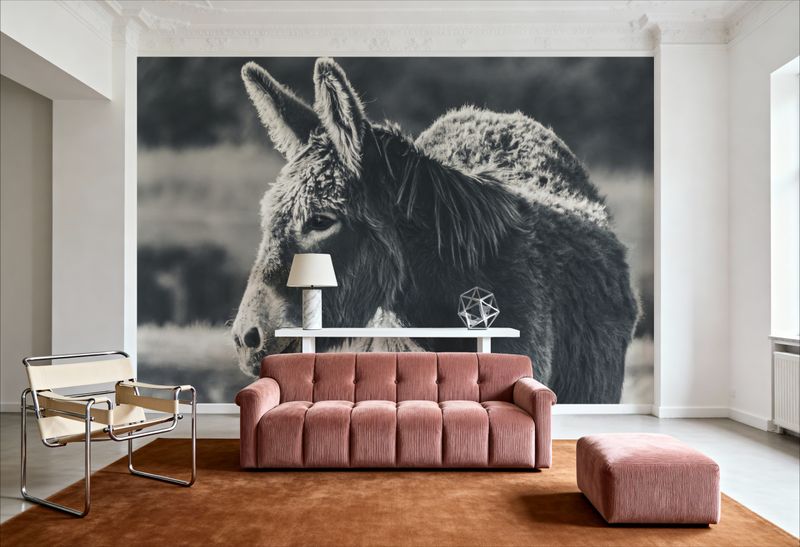 Sweet Donkey I BW mural 100% PVC-fri och giftfri