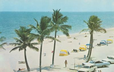 Greetings from Palm Beach Chill - Screenprint Postcard wallpaper mural ...
