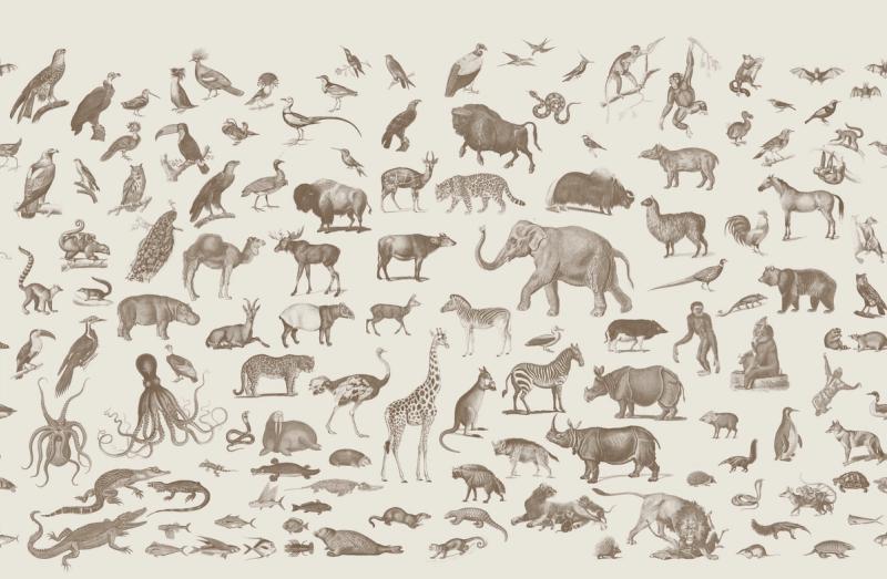 Vintage Animals, Beige wallpaper mural 100% PVC-free and non-toxic