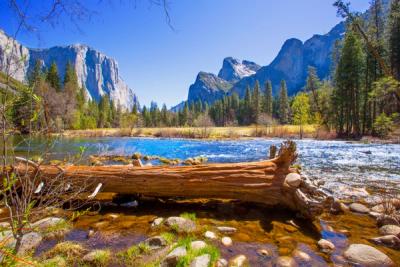Yosemite Merced River wallpaper mural 100% PVC-free and non-toxic