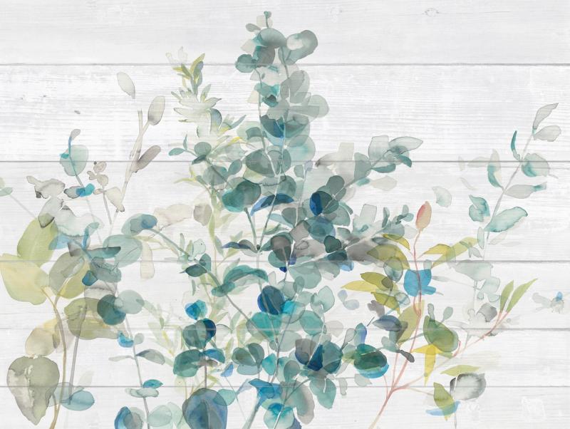 Eucalyptus I on Shiplap wallpaper mural 100% PVC-free and non-toxic