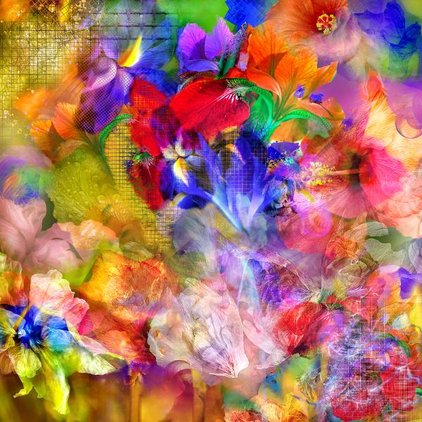 Iris Festival wallpaper mural 100% PVC-free and non-toxic