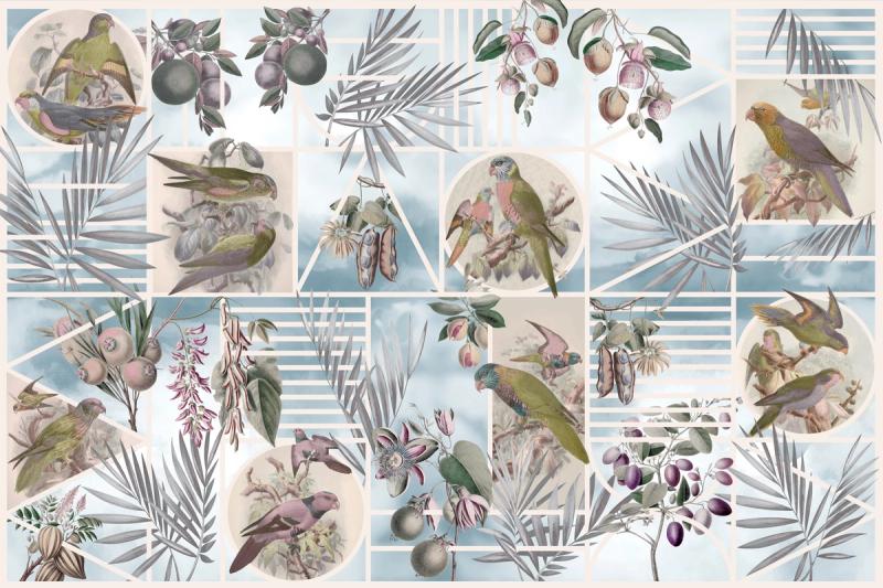Parrots Study wallpaper mural 100% PVC-free and non-toxic