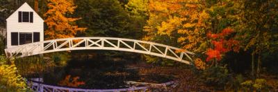 Autumn Footbridge wallpaper mural 100% PVC-free and non-toxic